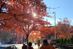 Exciting New History Events: Join Baltimore Heritage This Fall ...