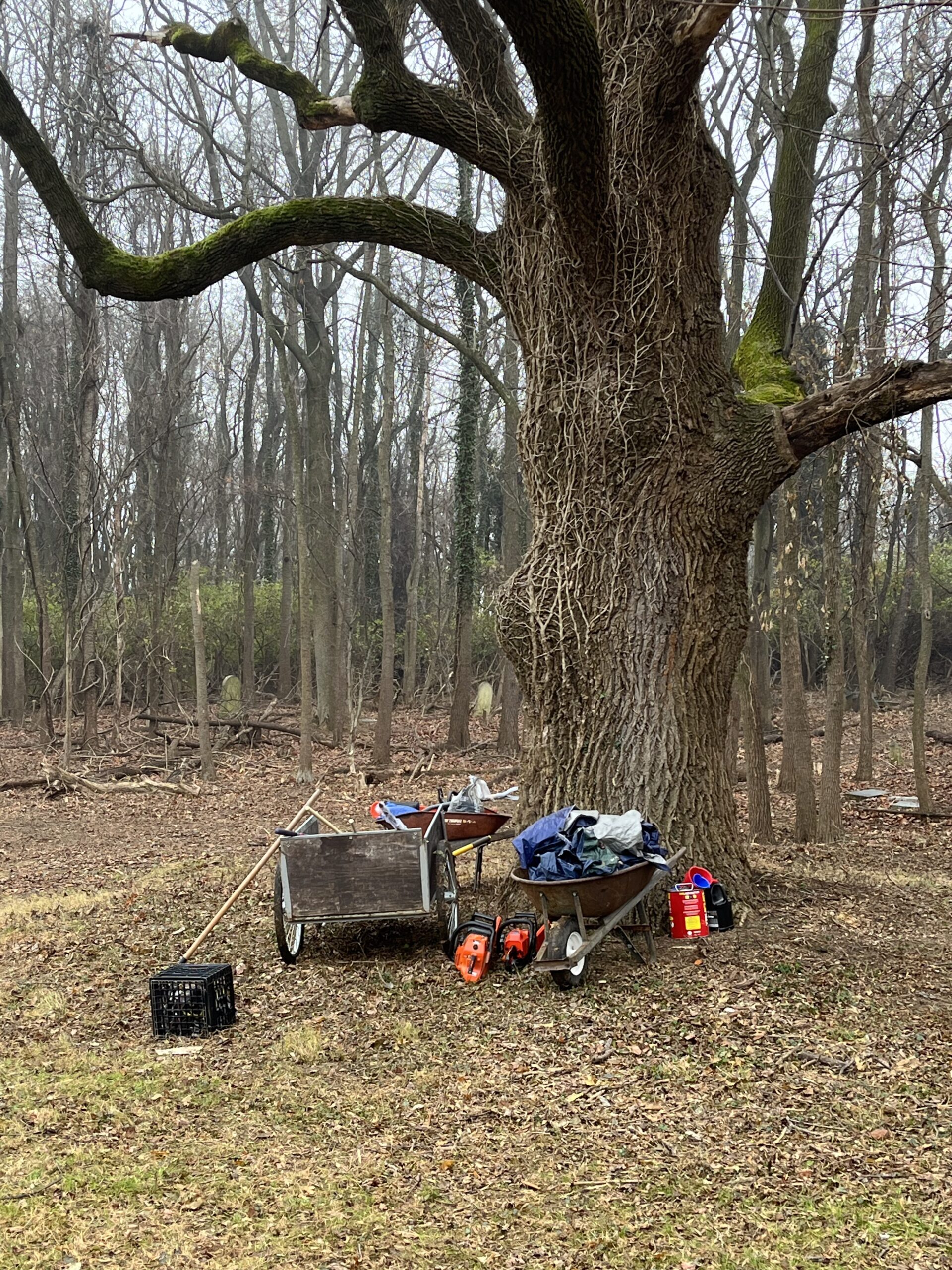 Blog Baltimore Heritage